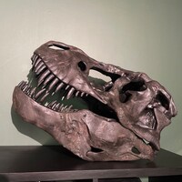 Life Size Utahraptor Skull - Etsy Canada