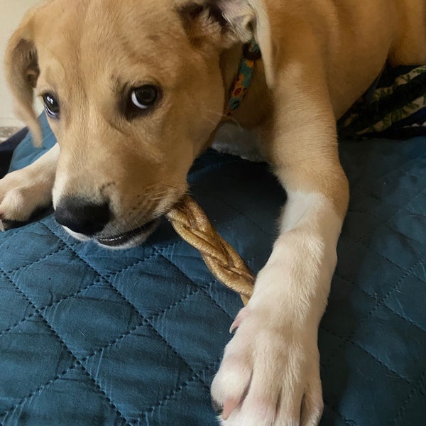 Lof Dog No Pull H-type Harness With Handle, Designed to Fit Dogs Body ...