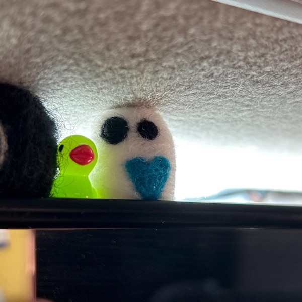 Adopt an Alien, Spooky Cryptid Gift Idea, Halloween Decoration, Cute ...