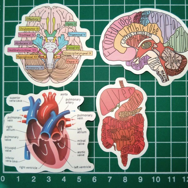 Pack of 50 Pablo Escobar Stickers, Pablo Escobar Sticker Pack ...