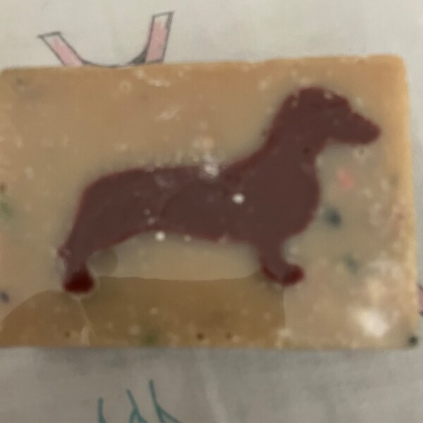 Bare Root Apple Mint Live Plant Live Mint Live Mint Plant - Etsy