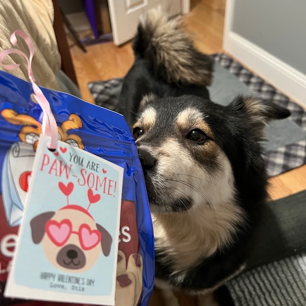 Printable Dog Valentine's Day Cards, Kids School Classroom Exchange ...