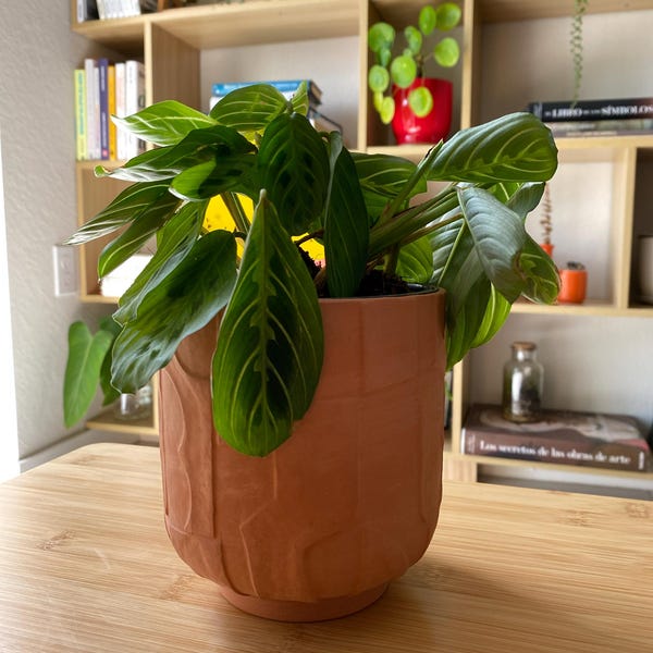 Elliot Planter Speckled Ombré Ceramic Pot in Multiple Sizes - Etsy