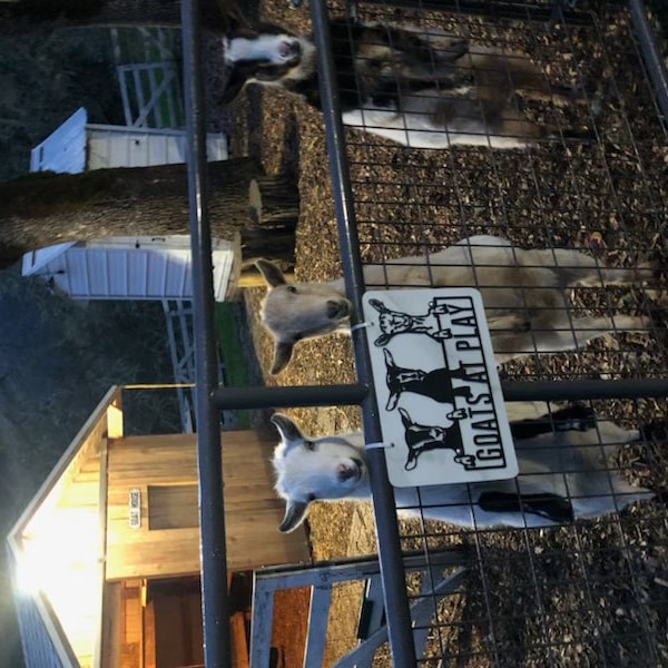 Custom Goat Farm Sign,farm Sign,metal Goat Sign,personalized Goat Ranch ...