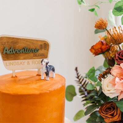 Onederful Boho Cake Topper, First Birthday Cake Topper, Boho Rainbow ...