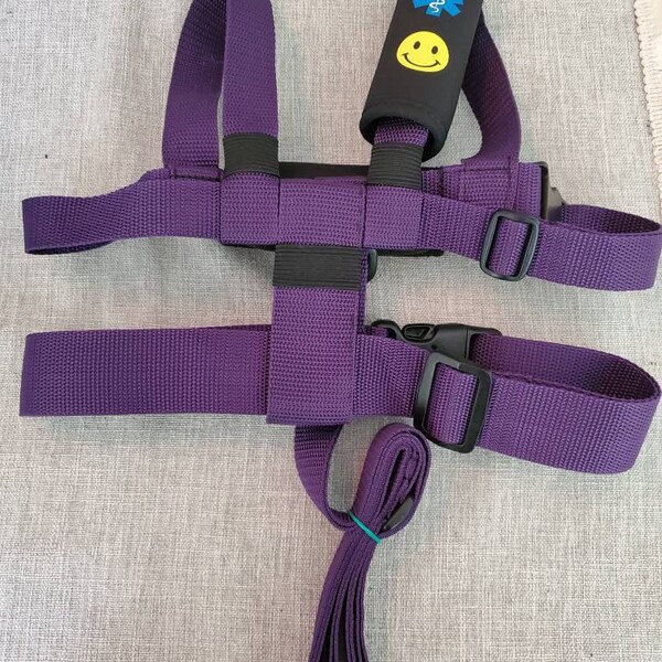 Child Safety Harness With Adjustable Leash, Back Buckles, Paw Print ...