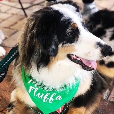 Lucky Motha Fluffa St Patrick Day Dog Bandana - Etsy