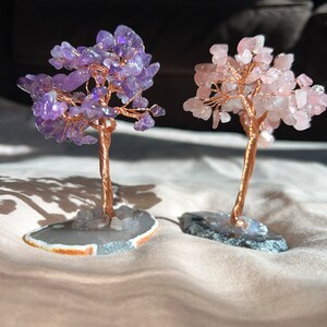 Titanium Rainbow Watermelon Aura Quartz Crystal Point - Etsy