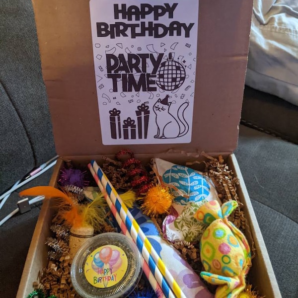 Birthday Cat Toy Gift Box - Etsy