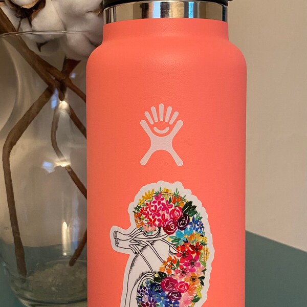 Anatomical Kidney Floral Vinyl Sticker. Vinyl Decal, Laptop Sticker ...