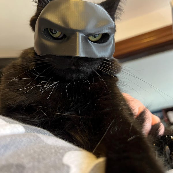 Batcat Mask - Etsy