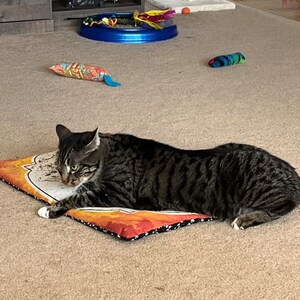 Siamese Catnip Toy, Tuxedo Cat Catnip Toy, Panther Catnip, Butterscotch Catnip Toy, Jungle Cats ...