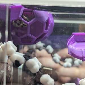 3D Printed Magnetic Corner Honeycomb Jumping Spider Hide - Etsy