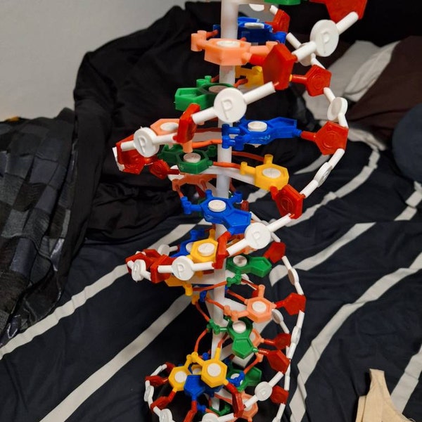 DNA Desk Statue - Etsy