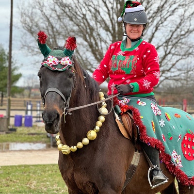 Coburg Chanfron Horse Face Armor in Aged Silver With Eye Guards ...