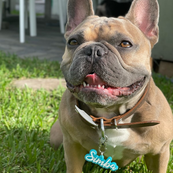 Custom Dog Tag // TURQUOISE Acrylic Dog Tag // Personalized Pet Tag ...