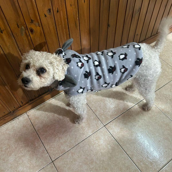 Dog Snuggle Bed Sewing Pattern and Tutorial PDF - Dog Sleeping Sack ...