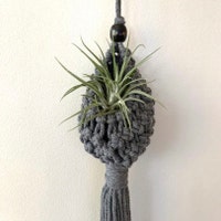 DIY MACRAME POD Pattern, Pdf Instructions Learn to Macrame, Air Plant ...