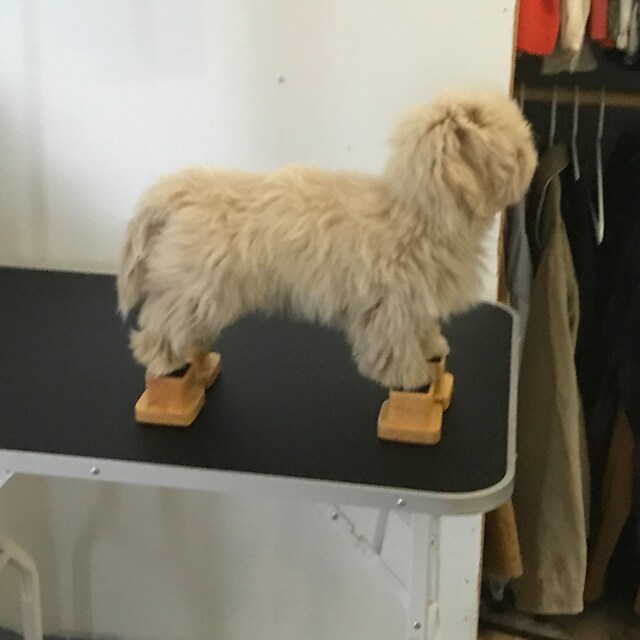 ShowdogStackingBlock - Etsy