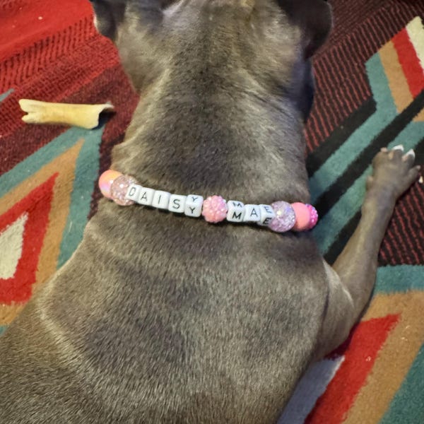 Pink Fizz Dog Bead Collar, Fancy Dog Pearl Necklace, Fuchsia Beaded Dog ...