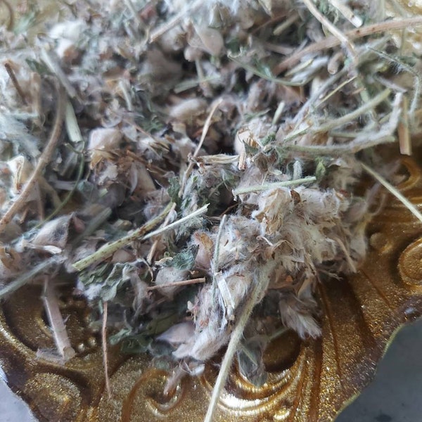 Chaste Tree Berry | Organic | Chaste Tree Berries Whole | Vitex Agnus ...