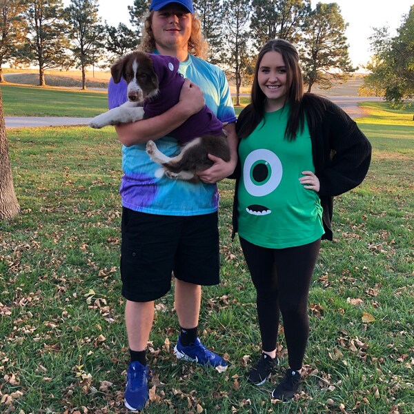 Sulley Shirt, Monsters Inc Costume, James P. Sullivan, Mens Disney ...