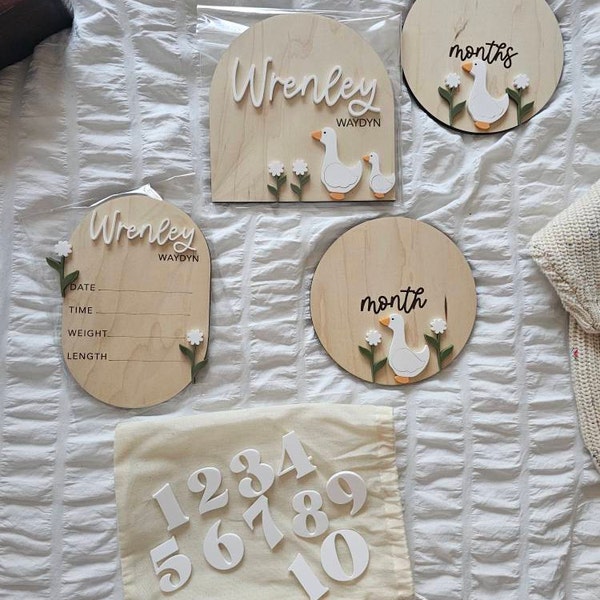 Baby Birth Announcement Sign | Birth Stat Sign | Goose Name Sign ...