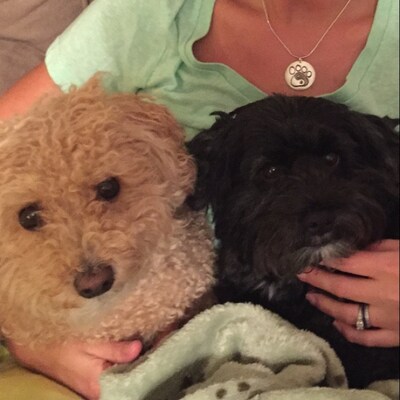 Silver Rhodesian Ridgeback Necklace Rhod107 - Etsy