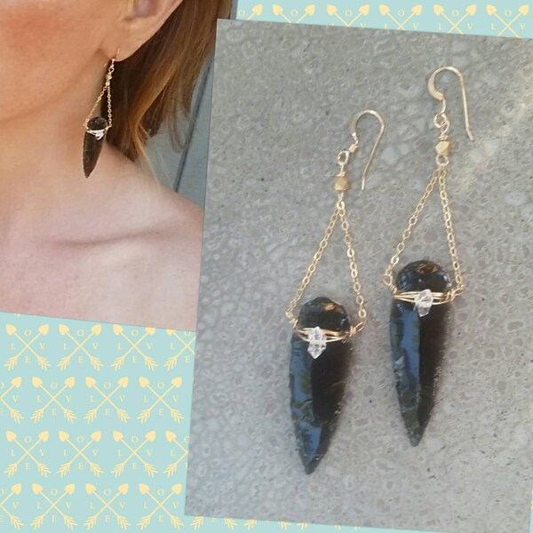 Fossil / Fossilized Arca Whole Both Halves Arca Bivalve Sea Shell ...