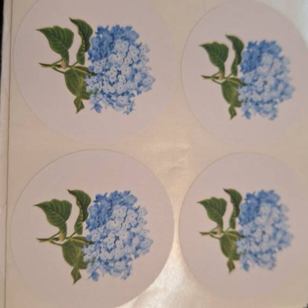 Ready to Pop Stickers, A10, Popcorn Labels for Baby Shower, Teddy Bear ...