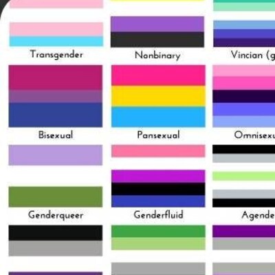 DIGITAL FILE: Printable Extended Pride Flag Reference Guide Includes ...