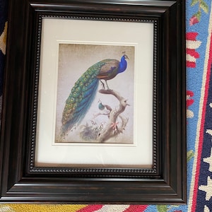 DNA and RNA Genetic Code Wall Art Set of 4 Genetics | Etsy