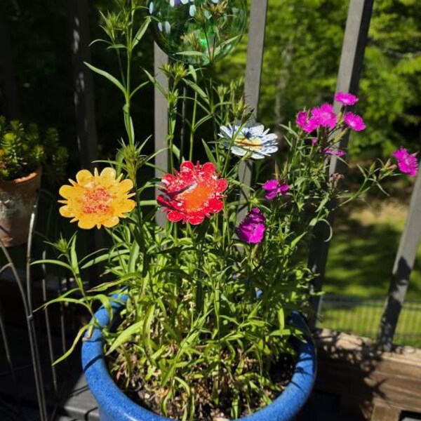 Copper 3 Piece Metal Cactus Set by Clever Goods Co- Garden Decor ...