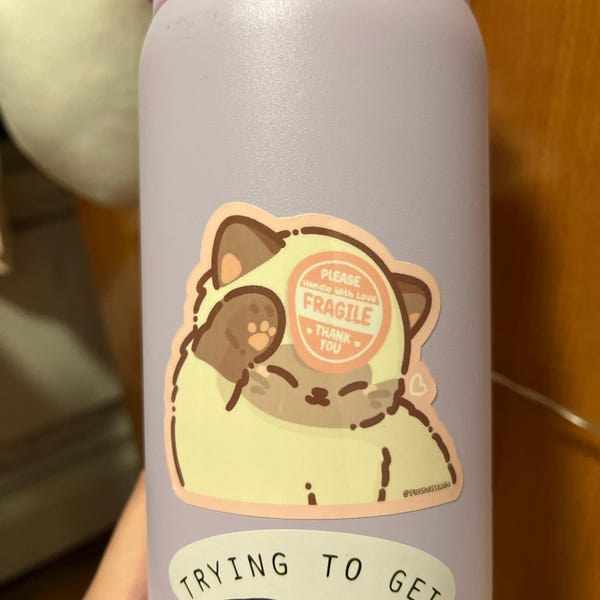Please Handle With Love FRAGILE Sticker | Cat Meme Stickers | Kawaii ...