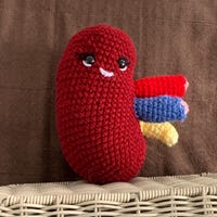 Anatomical Kidney Crochet Pattern! PATTERN ONLY Instant DOWNLOAD ...