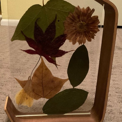 Matte Black Double Glass Floating Frame, Pressed Flower Frames for ...