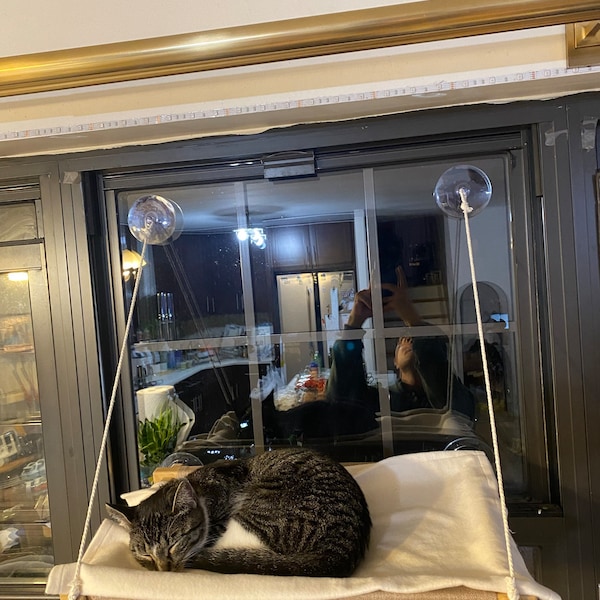 Cat Window Perch, Cat Window Hammock, Cat Window Ledge, Cat Window Bed ...