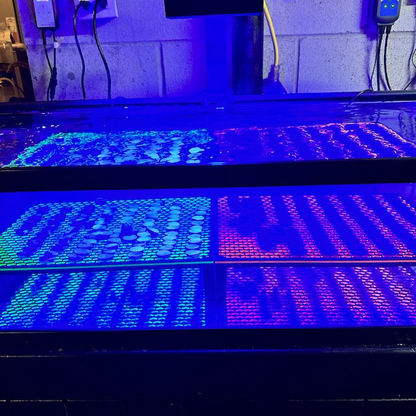 Egg Crate Frag Rack Legs 4 Pack 3d Printed - Etsy