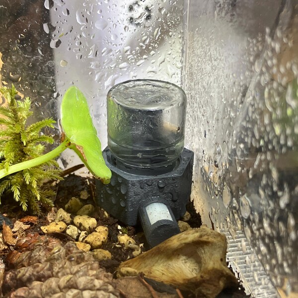 Wicking Water Feeder Trough for Small Pets Insects, Spiders, Tarantulas ...