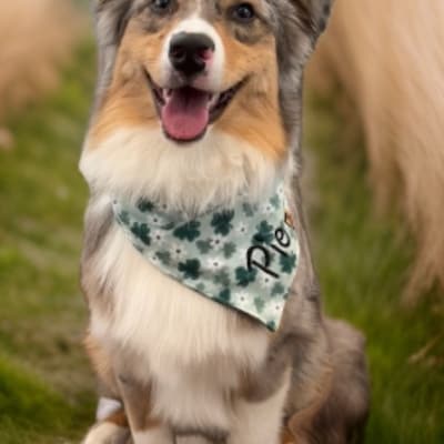 Cinco De Mayo Dog Bandana Pinata Dog Bandana Piñata Dog Scarf Cinco De ...