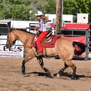 Patriotic Waves Arena Rodeo Queen Shirt Sizes Child 5/6 - Etsy