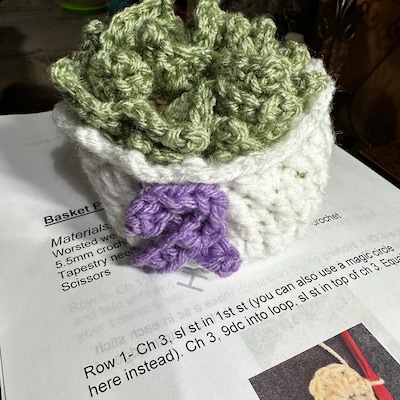 Crochet Succulent Coaster Pattern - Etsy