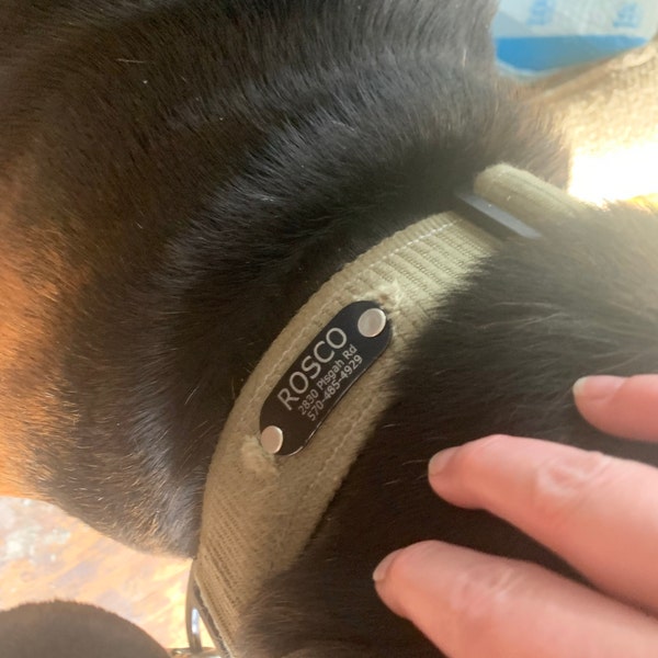 Premium Aluminum Rivet Tags (with Rivet Options) | Custom Personalized ...