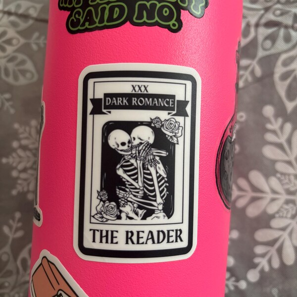 Stay Feral Car Decal | Car Window Decal Sticker | Laptop Decal | Trendy ...