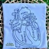 DIY Heart Anatomy Embroidery Pattern, Heart Embroidery, Anatomical ...