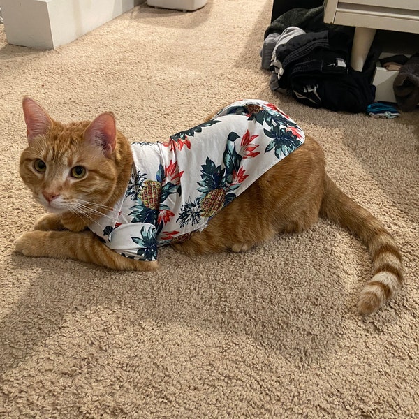 Summertime Aloha Shirt for Cats - Etsy