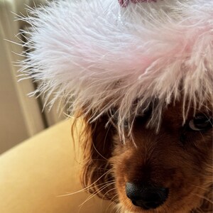 Rodeo Queen Beaded Fringe Cowboy Hat Red Stetson Hat Festival Hat ...