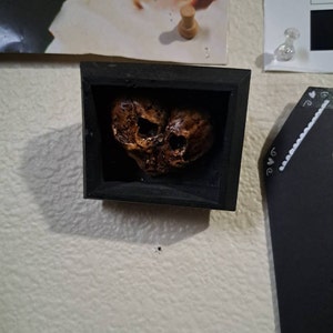 Skull in Box Frame Wall Art Catacombs - Etsy