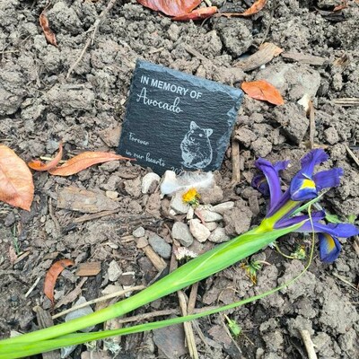 Personalised Engraved Slate Rabbit Pet Memorial Grave Marker Plaque ...