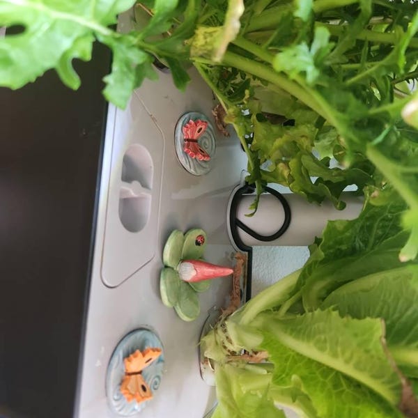 Outdoor/indoor Ceramic Toadstool House - Etsy